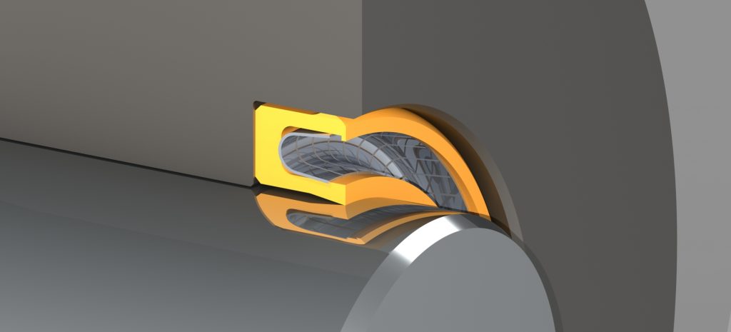 Spring Energized Seals