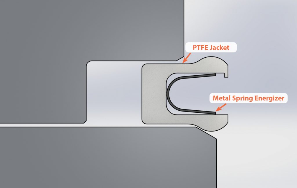 Spring Energized Seals